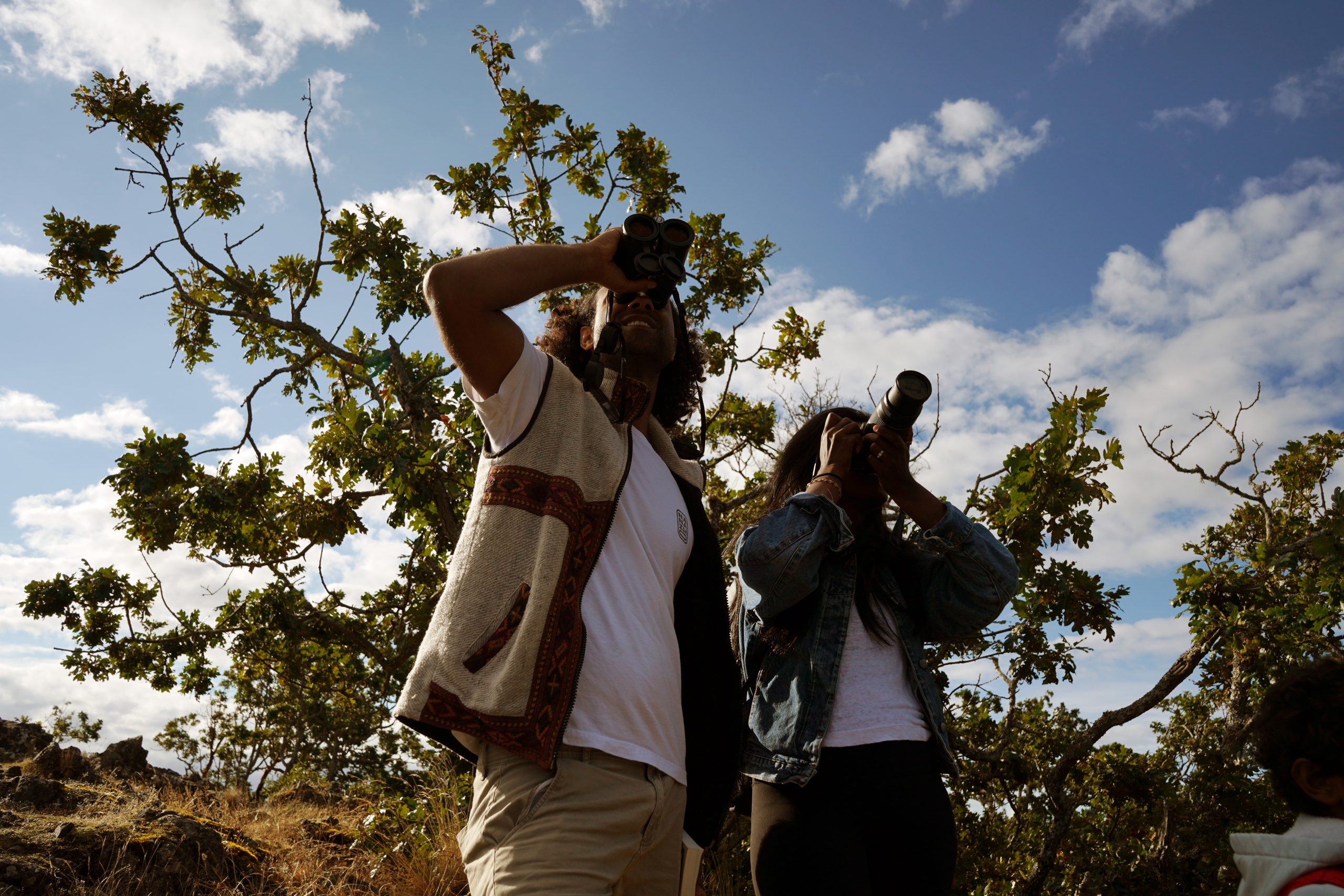 Birding 101: What is Birding? - The BC Bird Trail