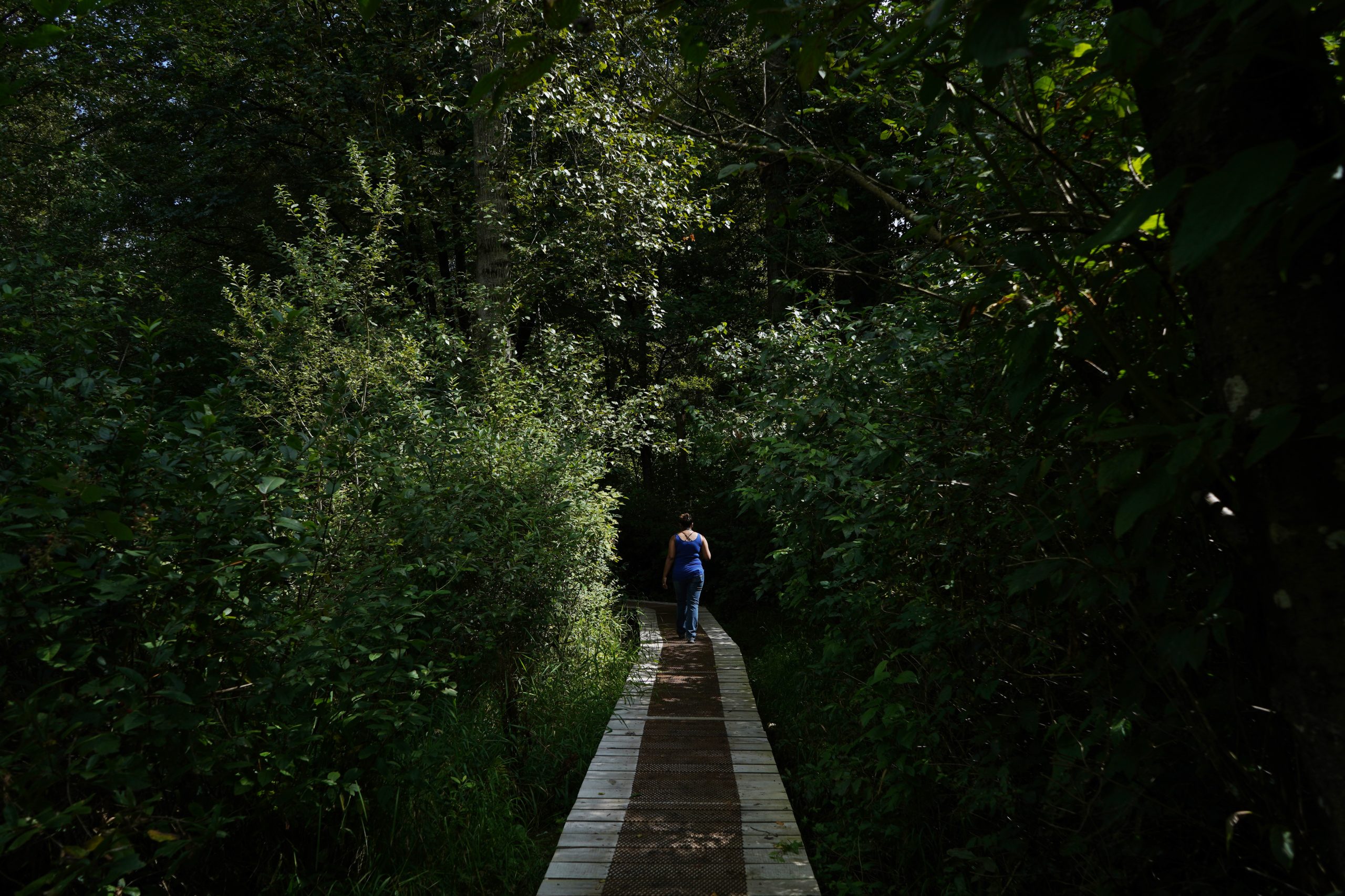 Know Before You Go - The BC Bird Trail