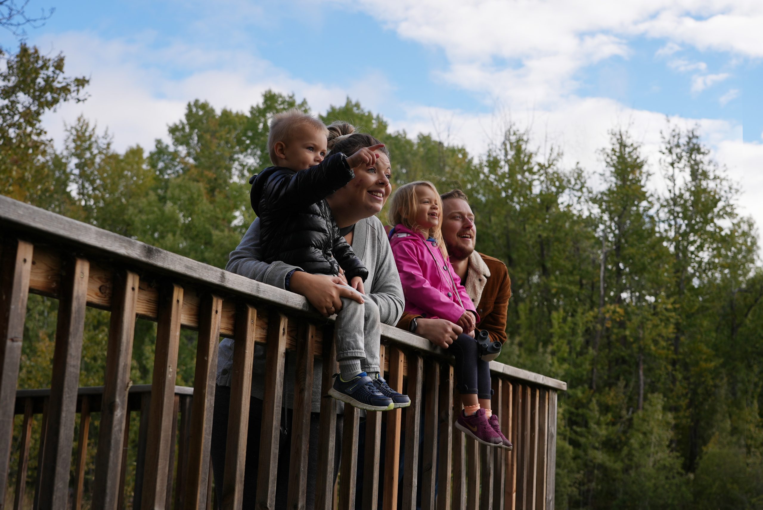 Birding by Season in BC - The BC Bird Trail